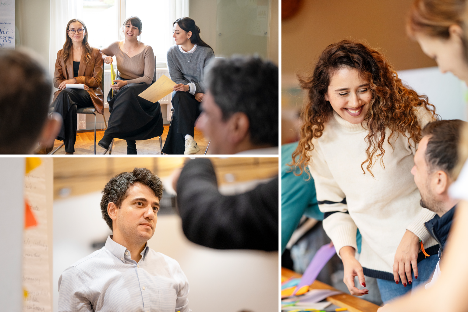 SI Leadership Programmes - Svenska institutet