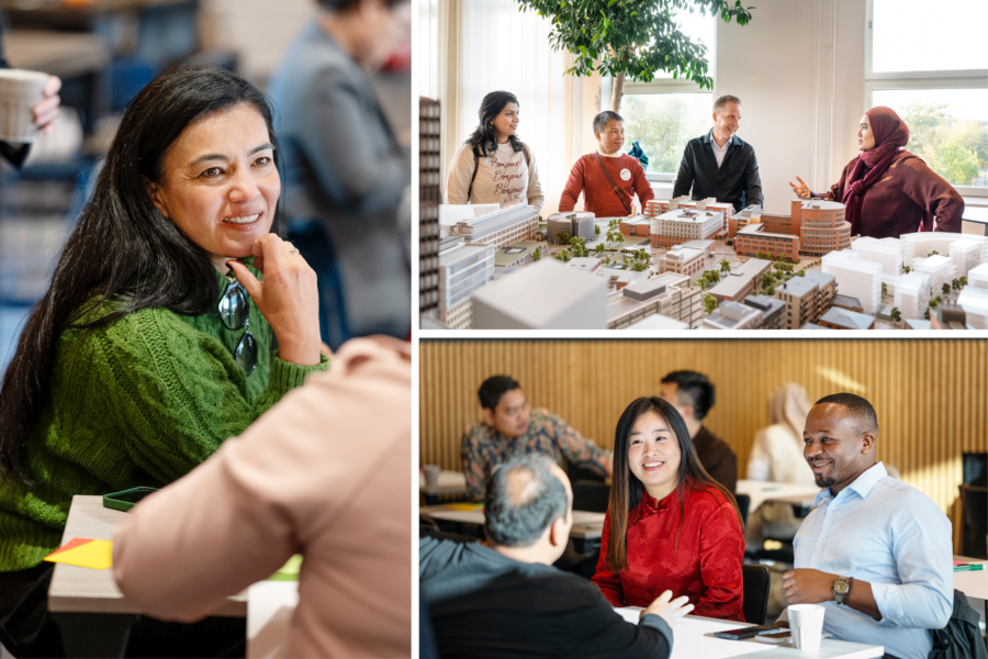 SI Global Executive Programme - Svenska institutet